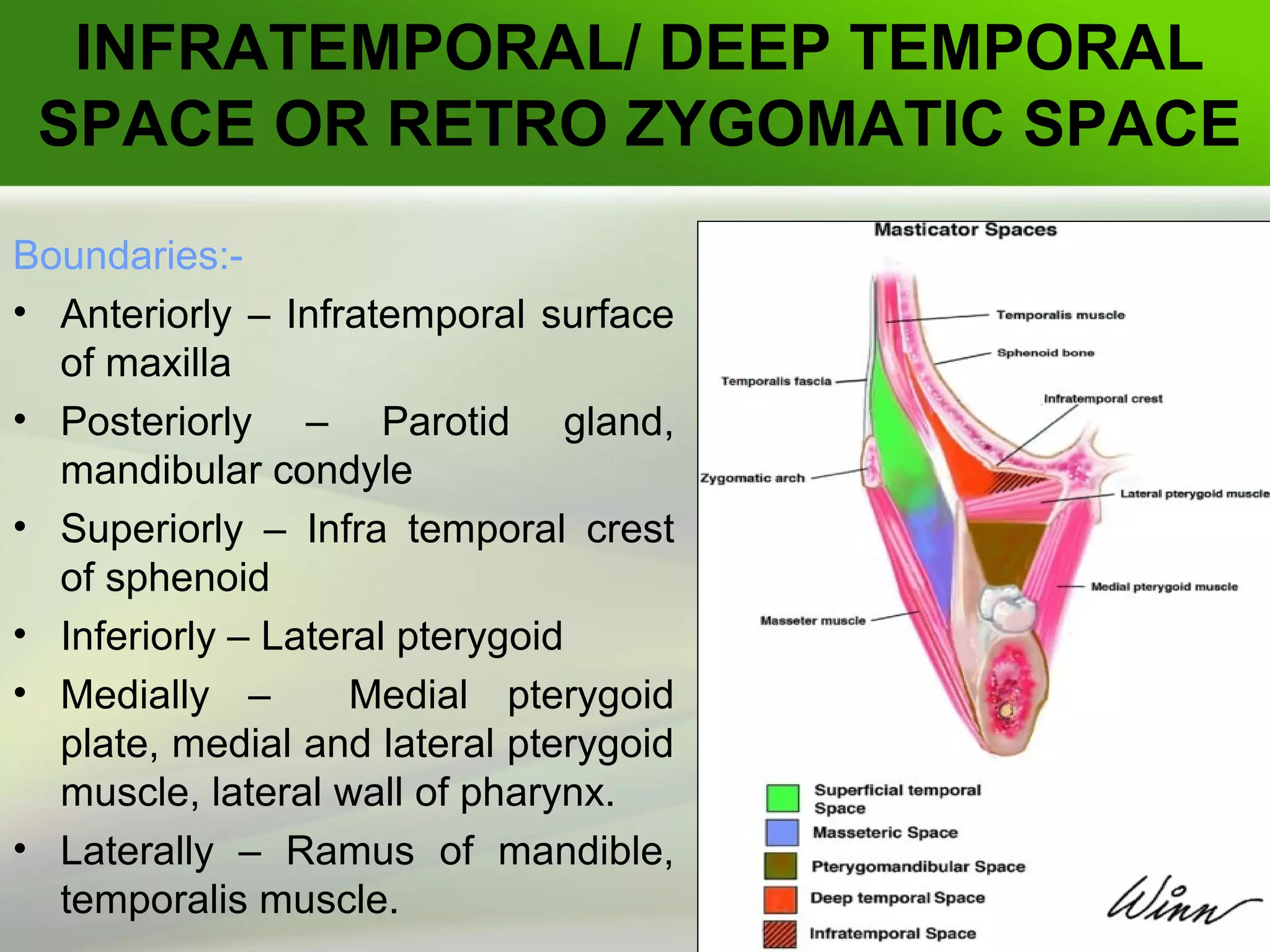 Case of space infection | PPT