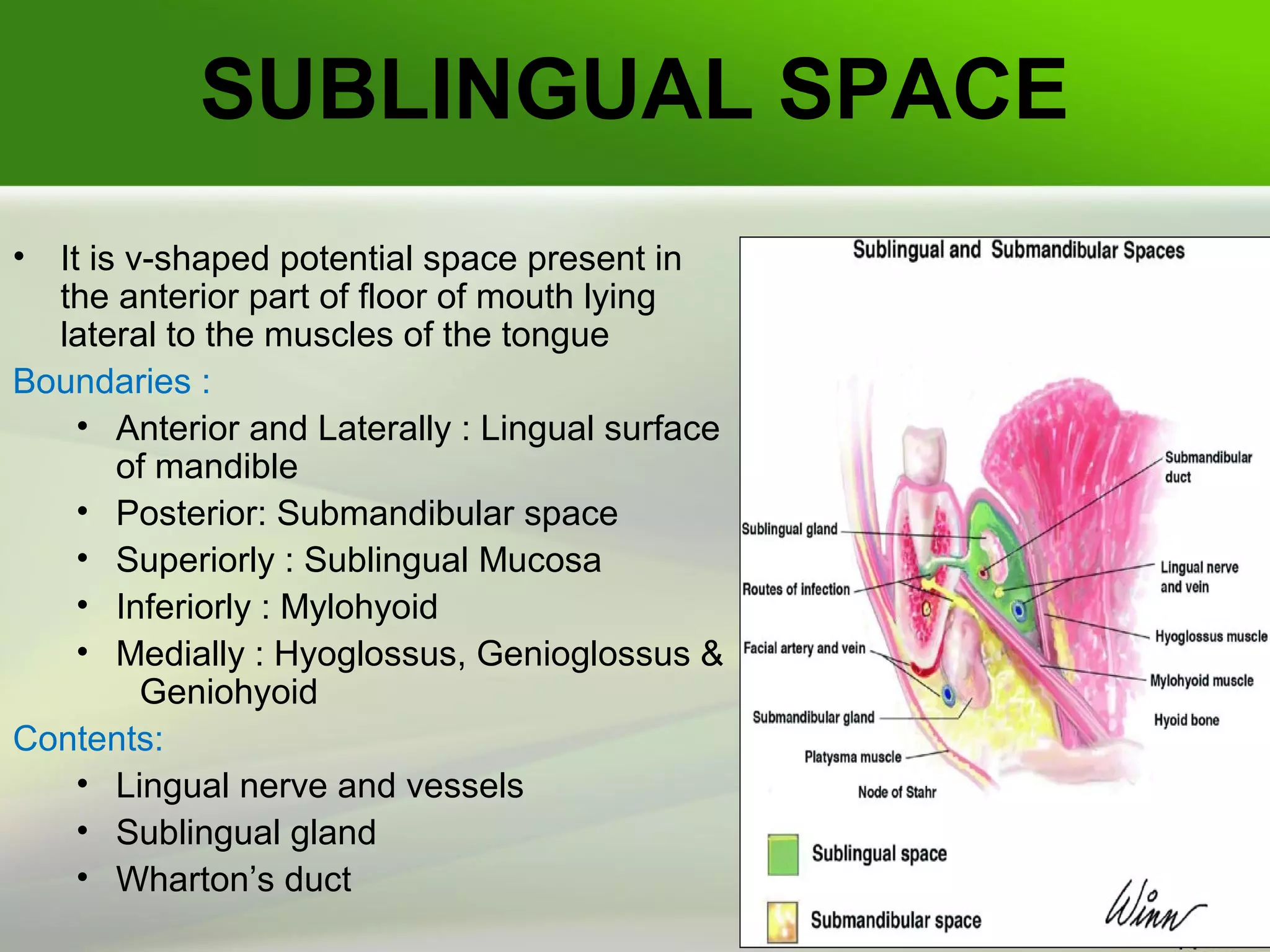 Case of space infection | PPT