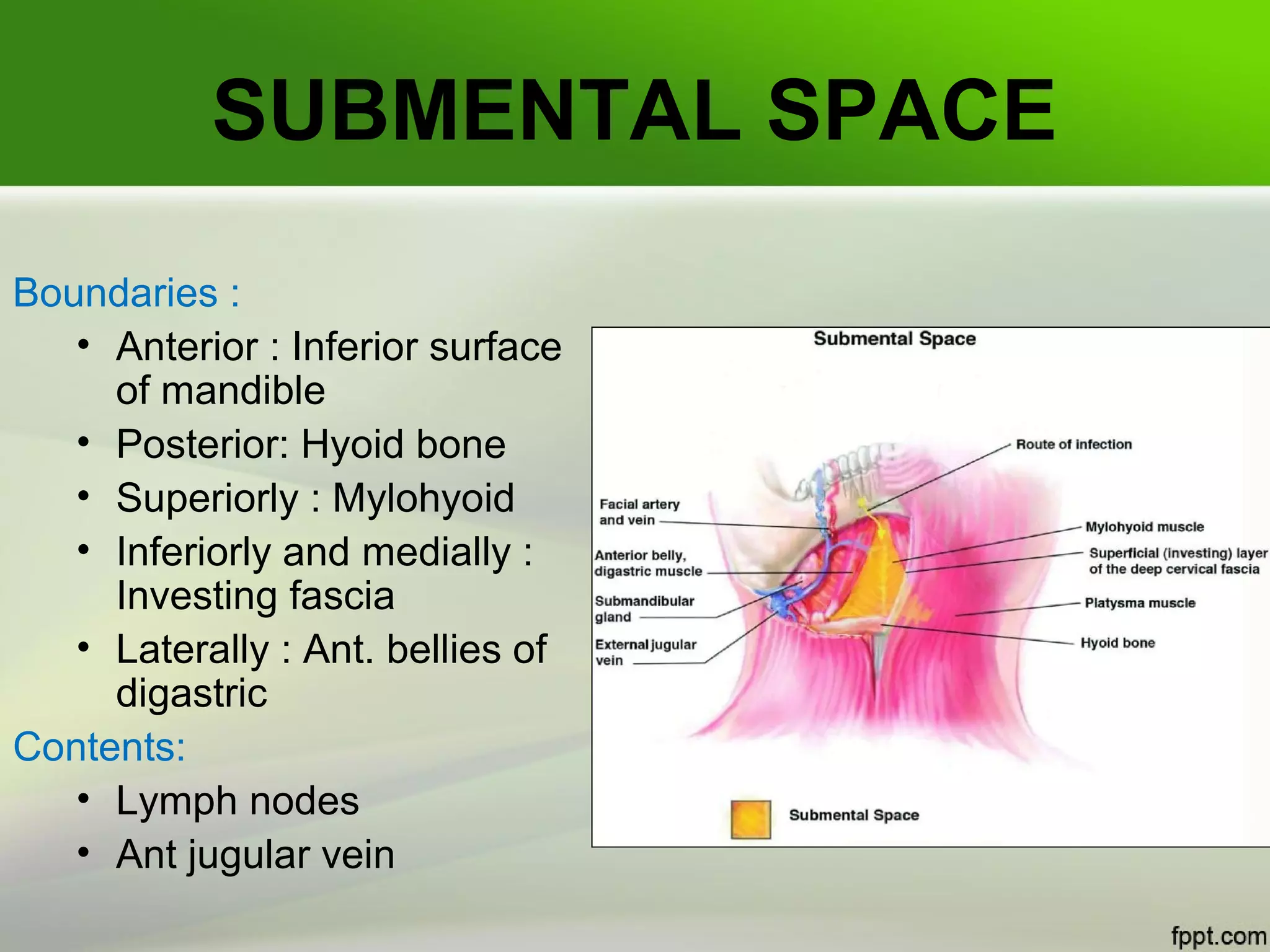 Case of space infection | PPT