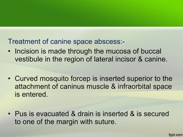 Case of space infection | PPT | Ear, Nose and Throat Conditions ...