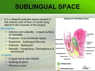 Sublingual Space