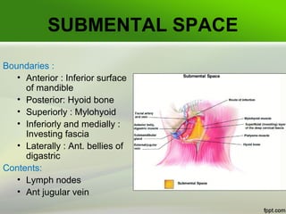 Submental Space