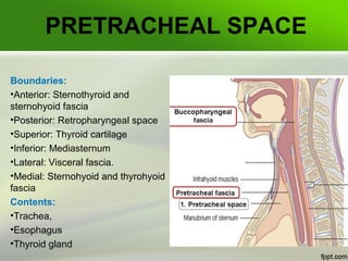 Case of space infection | PPT