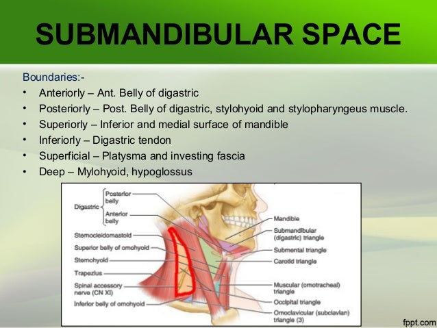 Case of space infection