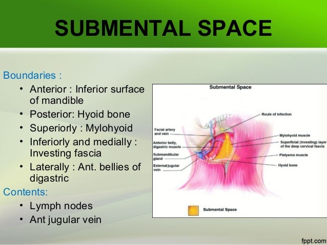 Case of space infection