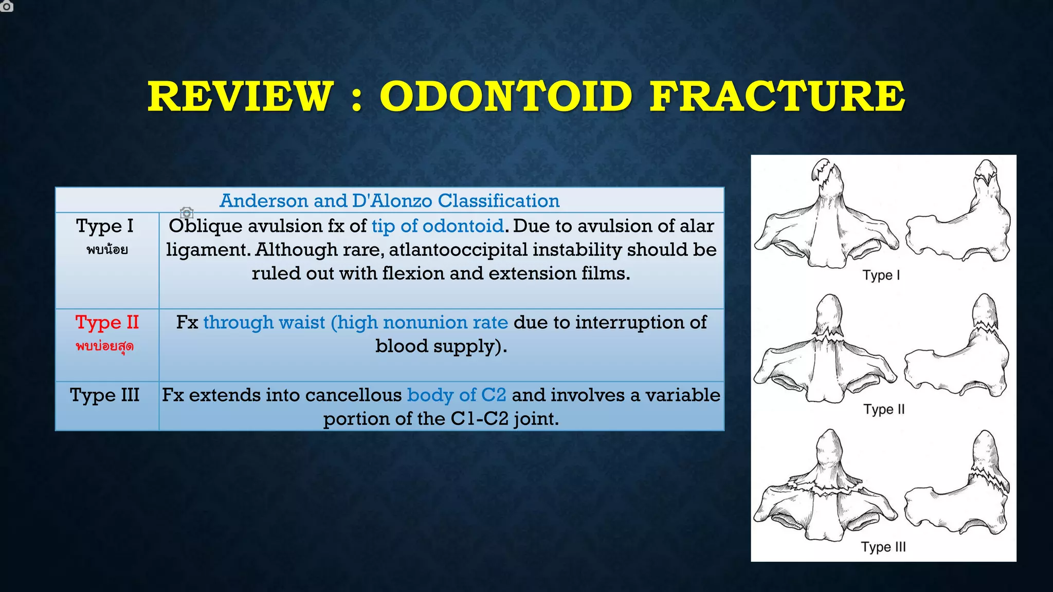 Case ortho big | PDF