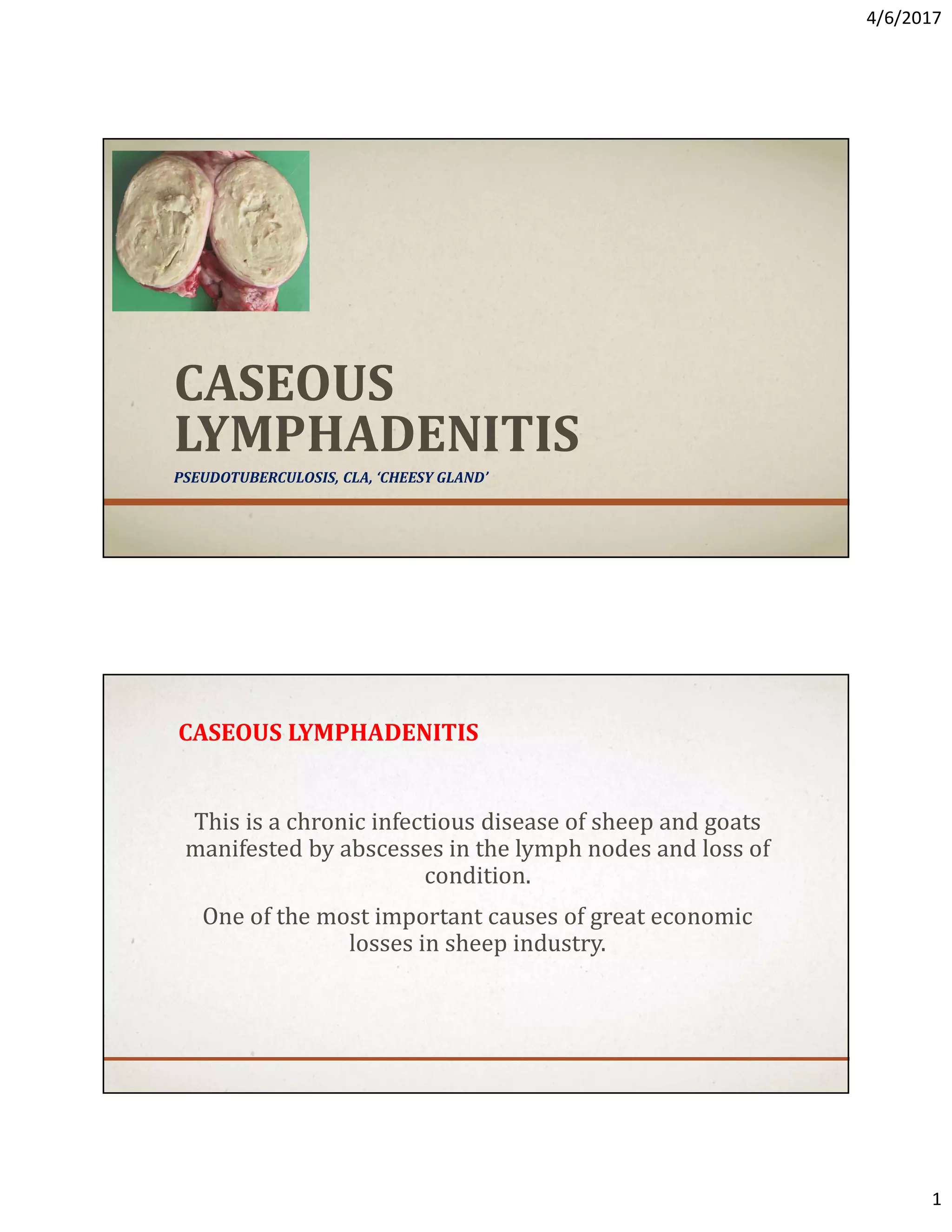 Caseous lymphadenitis | PDF