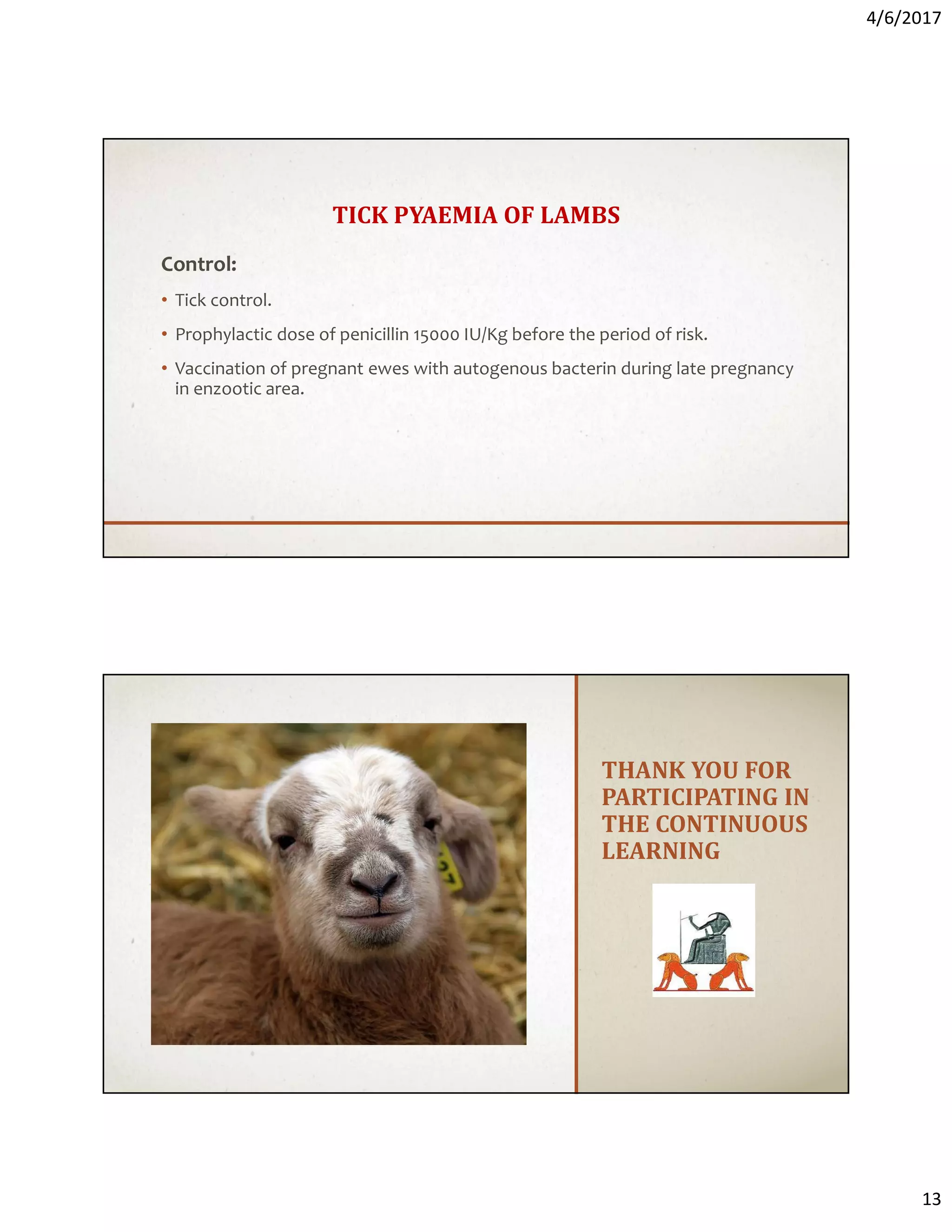 Caseous lymphadenitis | PDF