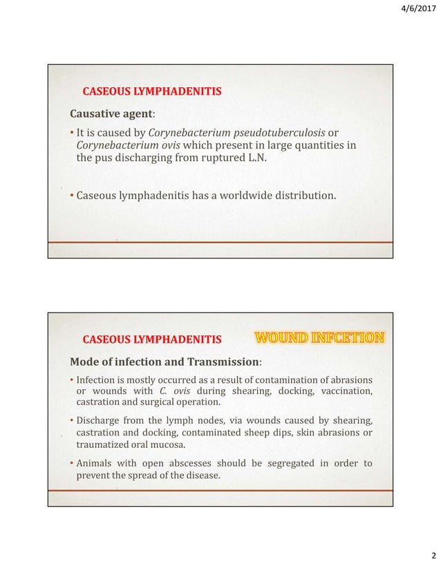 Caseous lymphadenitis | PDF