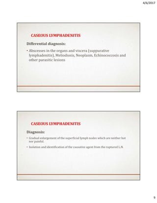 Caseous lymphadenitis | PDF
