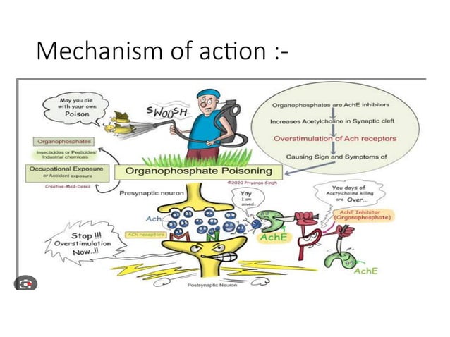 CASE PRESENTATI- op compound poisoning.pptx
