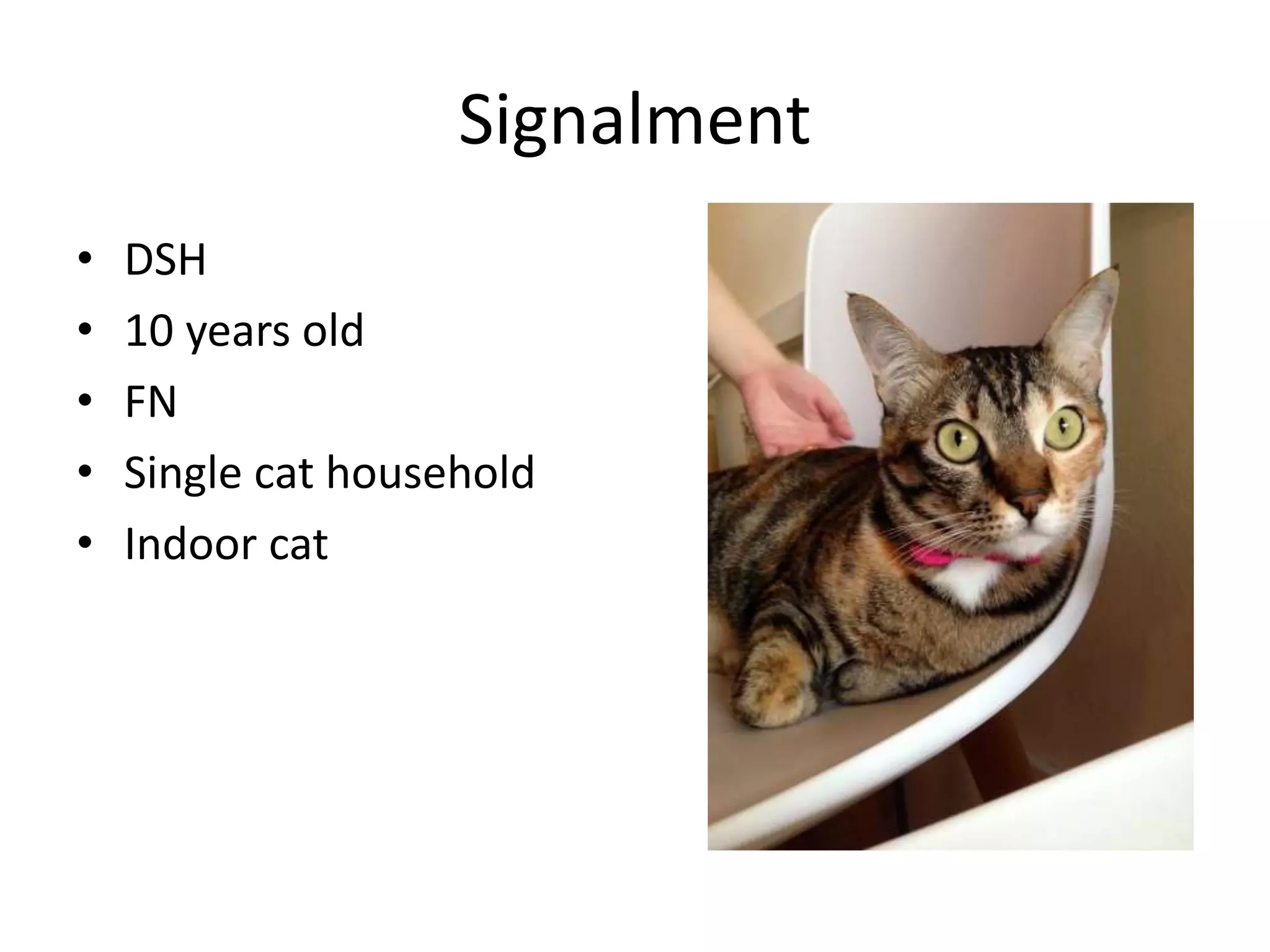 Clinical Pathology Case Presentation | PPTX