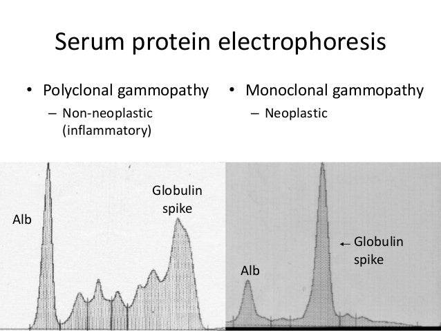 Clinical Pathology Case Presentation