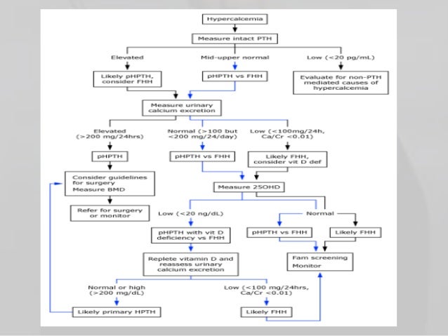Case presentation of primary hyperparathyroidism