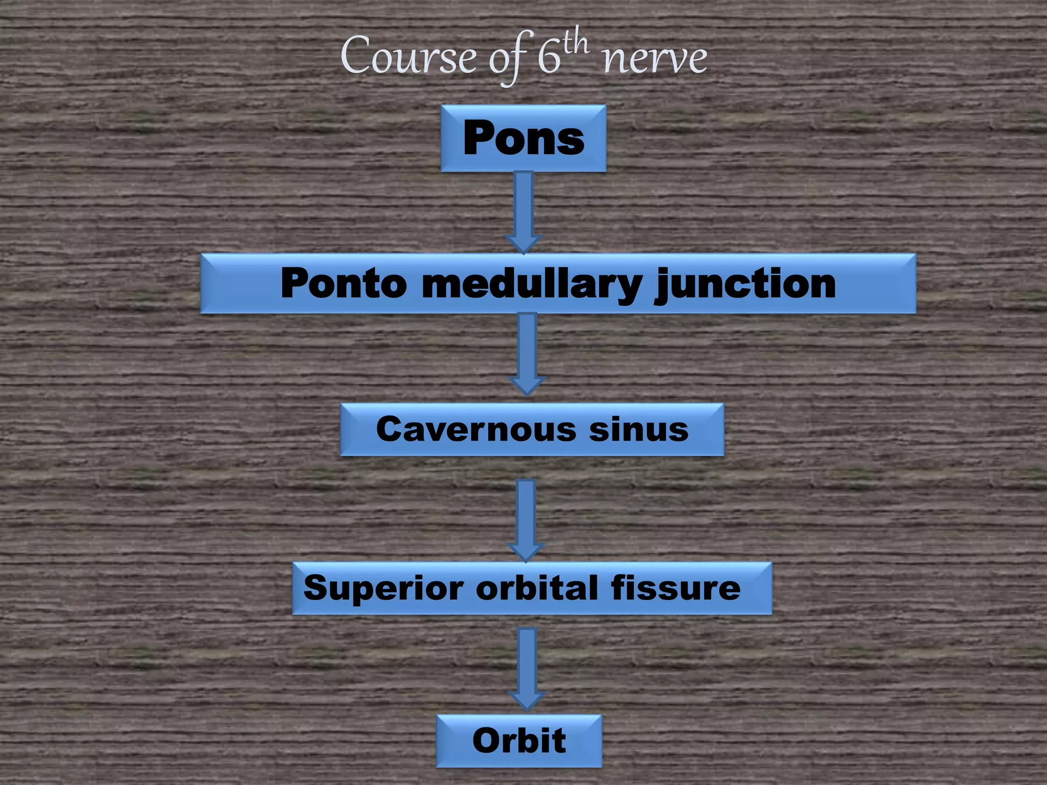 Sixth Nerve Palsy | PPTX
