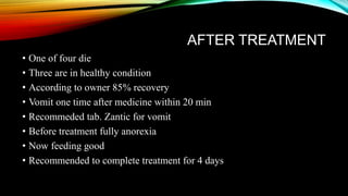 Case presentation | PPT