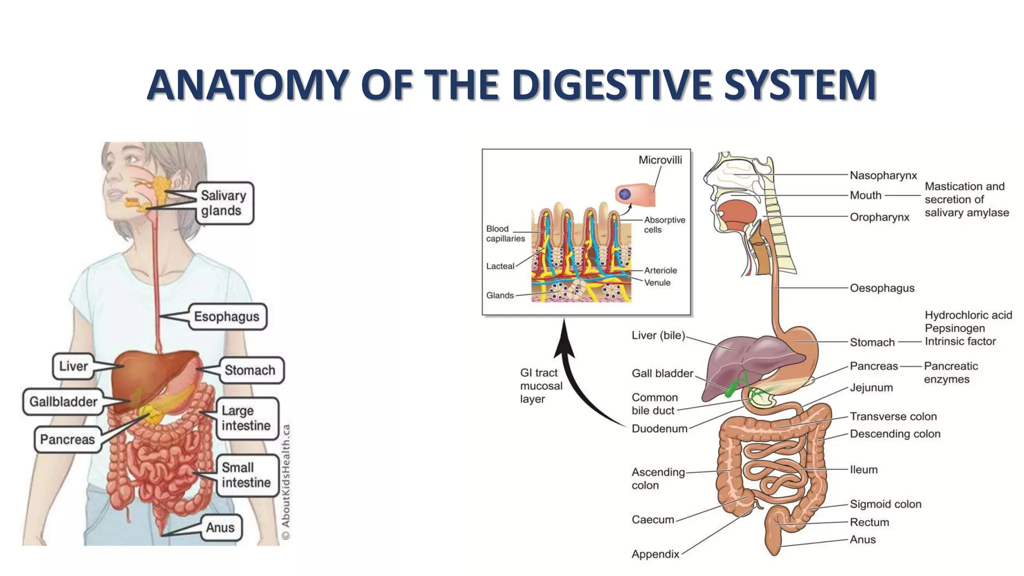 Acute Gastroenteritis with dehydration | PPTX