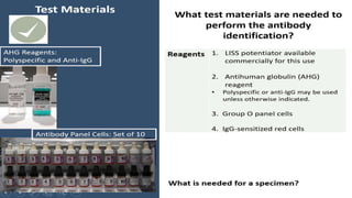 Case presentation on Antibody screening- how to solve 3 cell and 11 ...