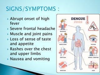 dengue fever presentation about signs and symptoms ,diagnosis | PPTX
