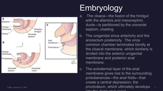 CASE Presentation Anorectal Malformation.pptx