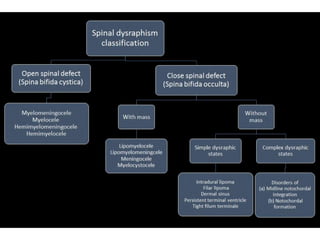 neuroradiological case discussion spinal dyraphism | PPT