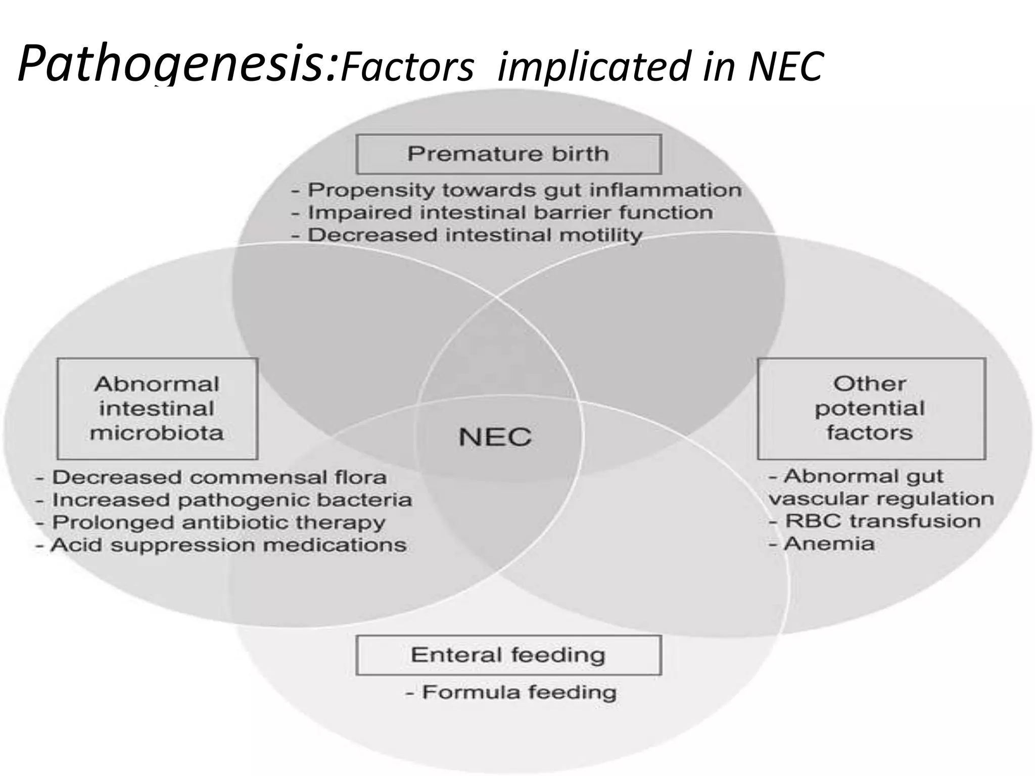 NEC in newborn | PPTX