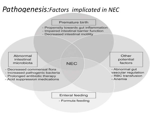 NEC in newborn