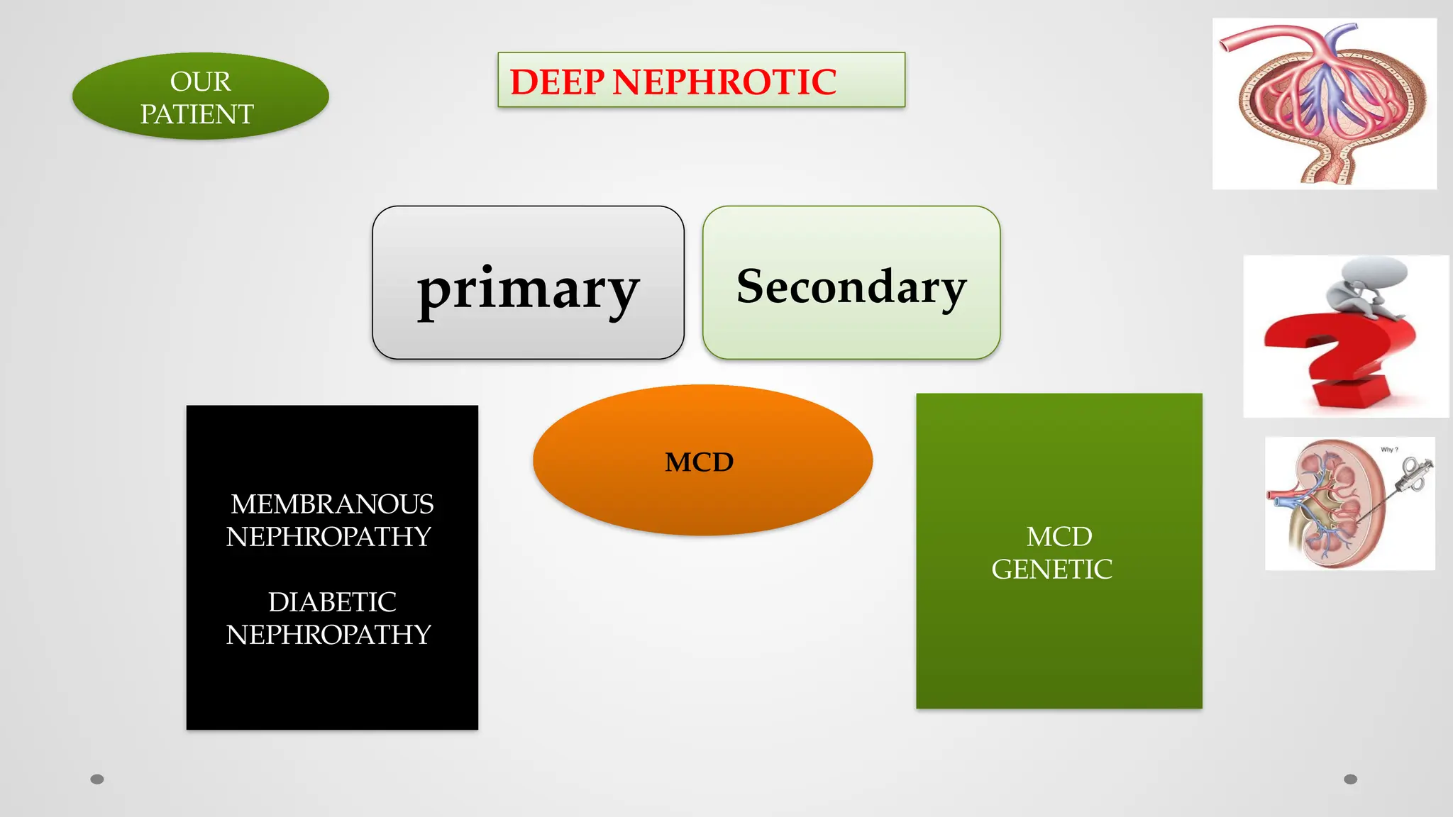 case presentation Nephrotic Syndrome.pptx