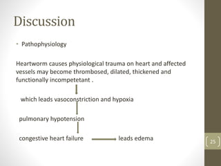 Case presentation on dirofilariasis | PPTX