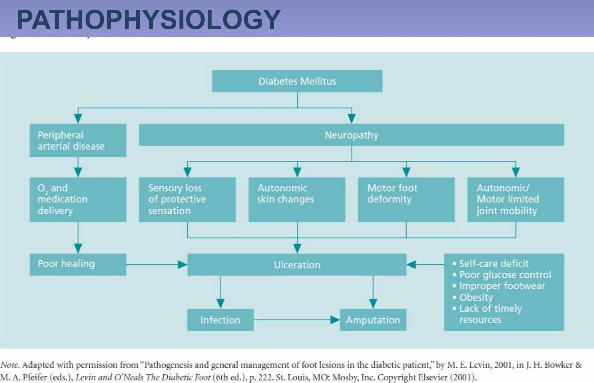 Case presentation on Diabetic foot ulcer | PPTX