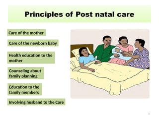 Case presentation on Post natal care (PNC).pptx