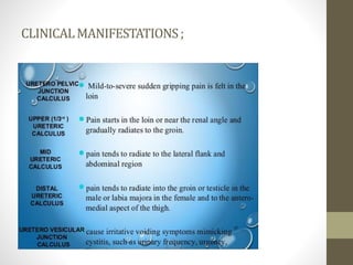 Case presentation on renal caliculi | PPTX