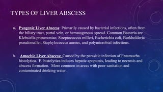 CASE PRESENTATION ON RUPTURED LIVER ABCESS BY DR JESMINA KHATUN | PDF