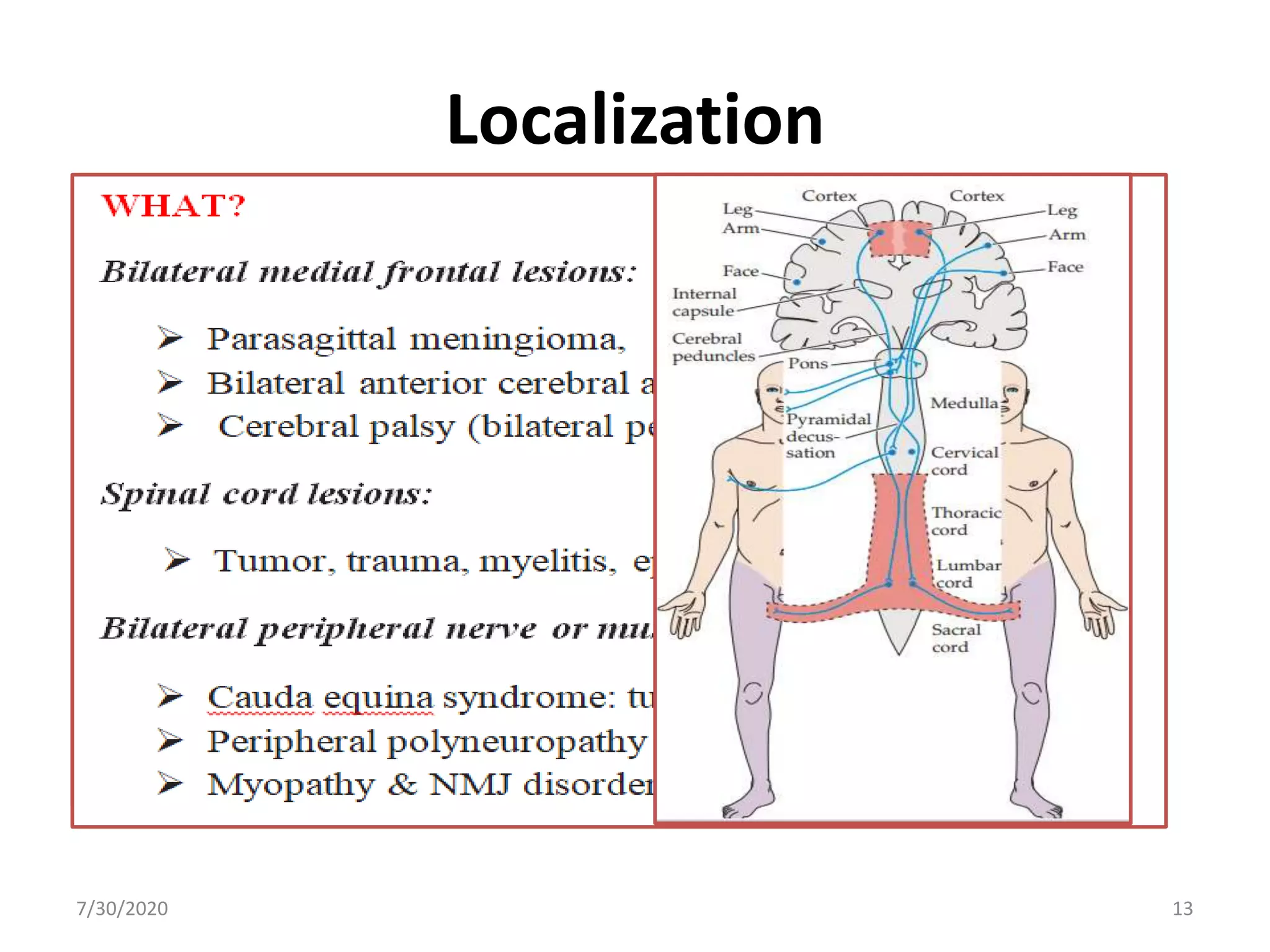 Case presentation on transverse myelitis | PPTX