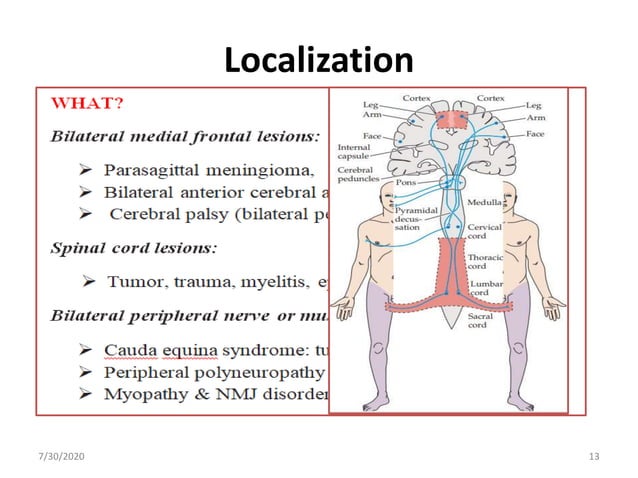 Case presentation on transverse myelitis | PPTX | Brain and Nervous ...