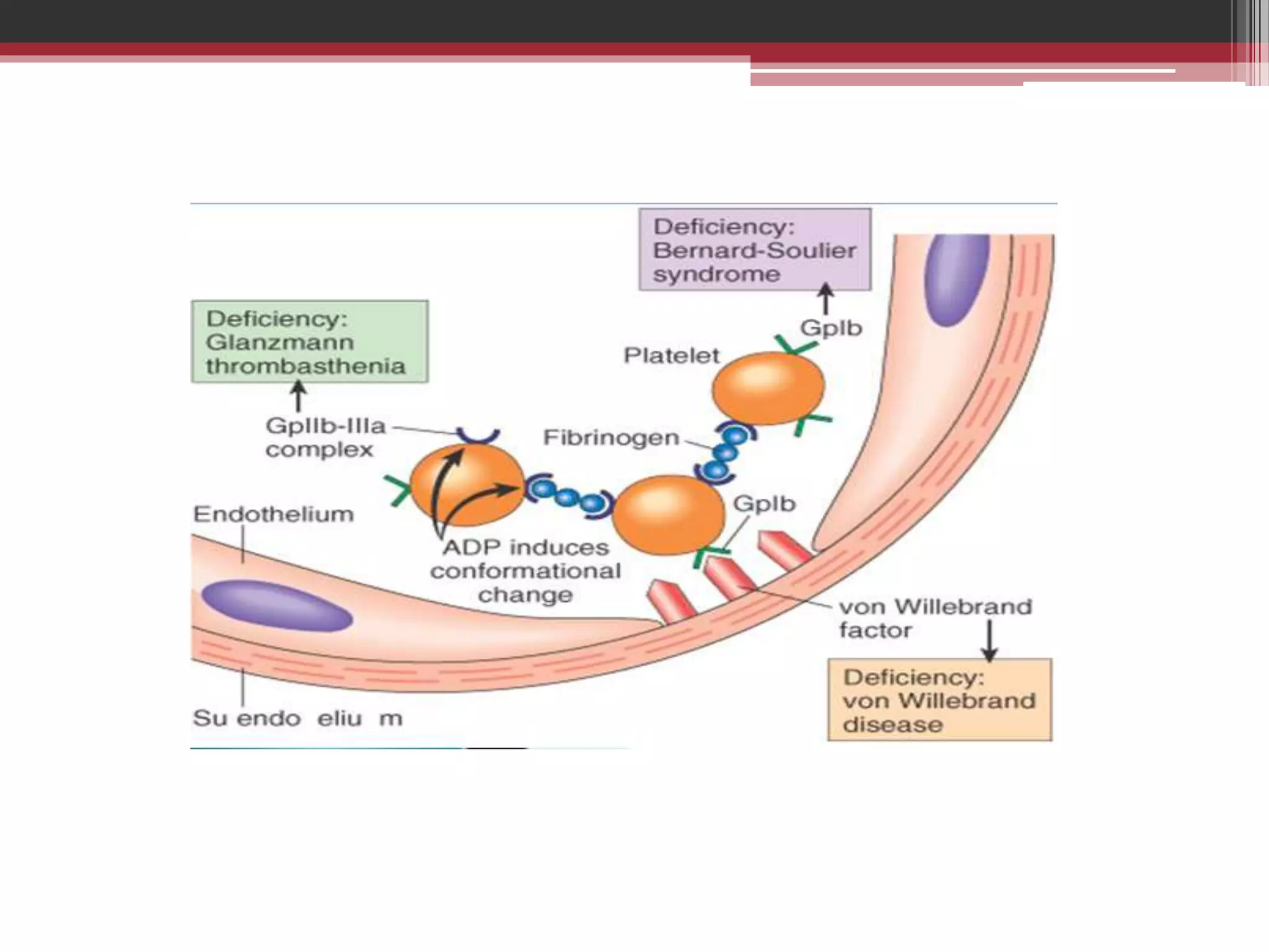 Qualitative platelet defect (1).pptx