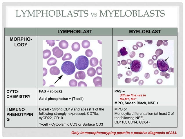 CASE REPORT -SEMINAR APML.pptx