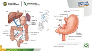 Case Report Anatomi Gaster dan Perforasi Gaster.pptx