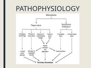 CARDIO STEMI CASE REPORT (STEMI ANTEROSEPTAL ONSET 11 HOURS, KILLIP I ...