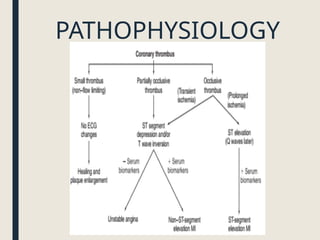 CARDIO STEMI CASE REPORT (STEMI ANTEROSEPTAL ONSET 11 HOURS, KILLIP I ...