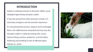 Case report on laboratory animals ear canker.pptx