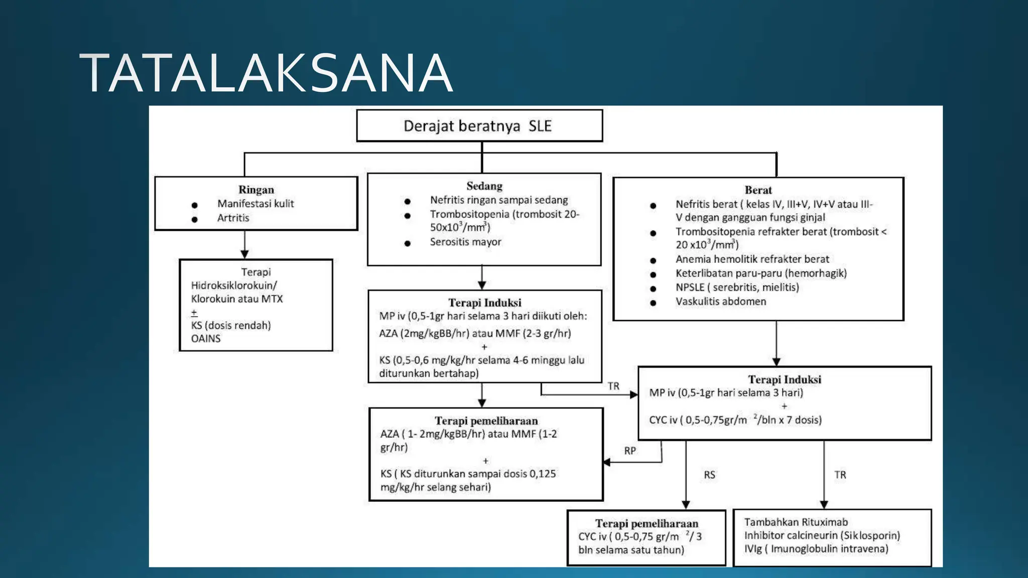CASE REPORT Lupus Eritematosus Sistemik (Systemic lupus erythematosus/SLE) ppt.pptx