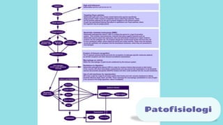 Case Report Typhoid Fever | PPTX