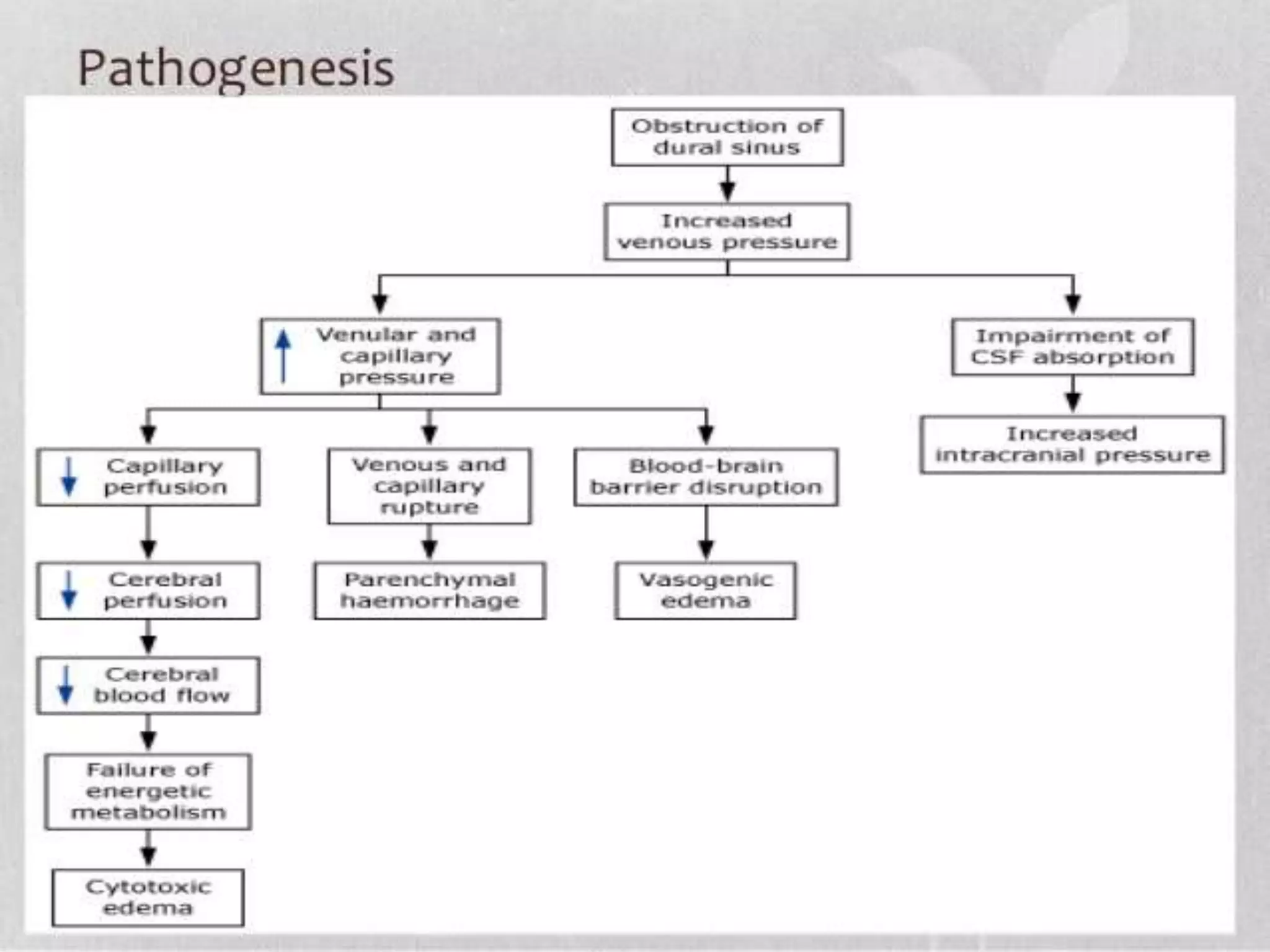 Case series -cerebral venous sinus thrombosis - Dr Shaz Pamangadan | PPTX