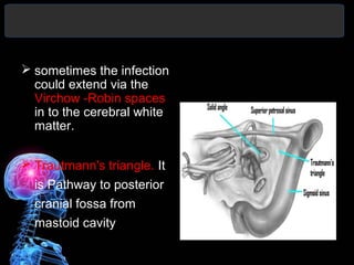 Case series otogenic brain abcess | PPT
