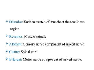 case sheet Examination of fine and deep reflexes.pptx