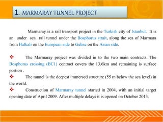 Case studies of surveys involved in Railway Tunnel constructed under ...