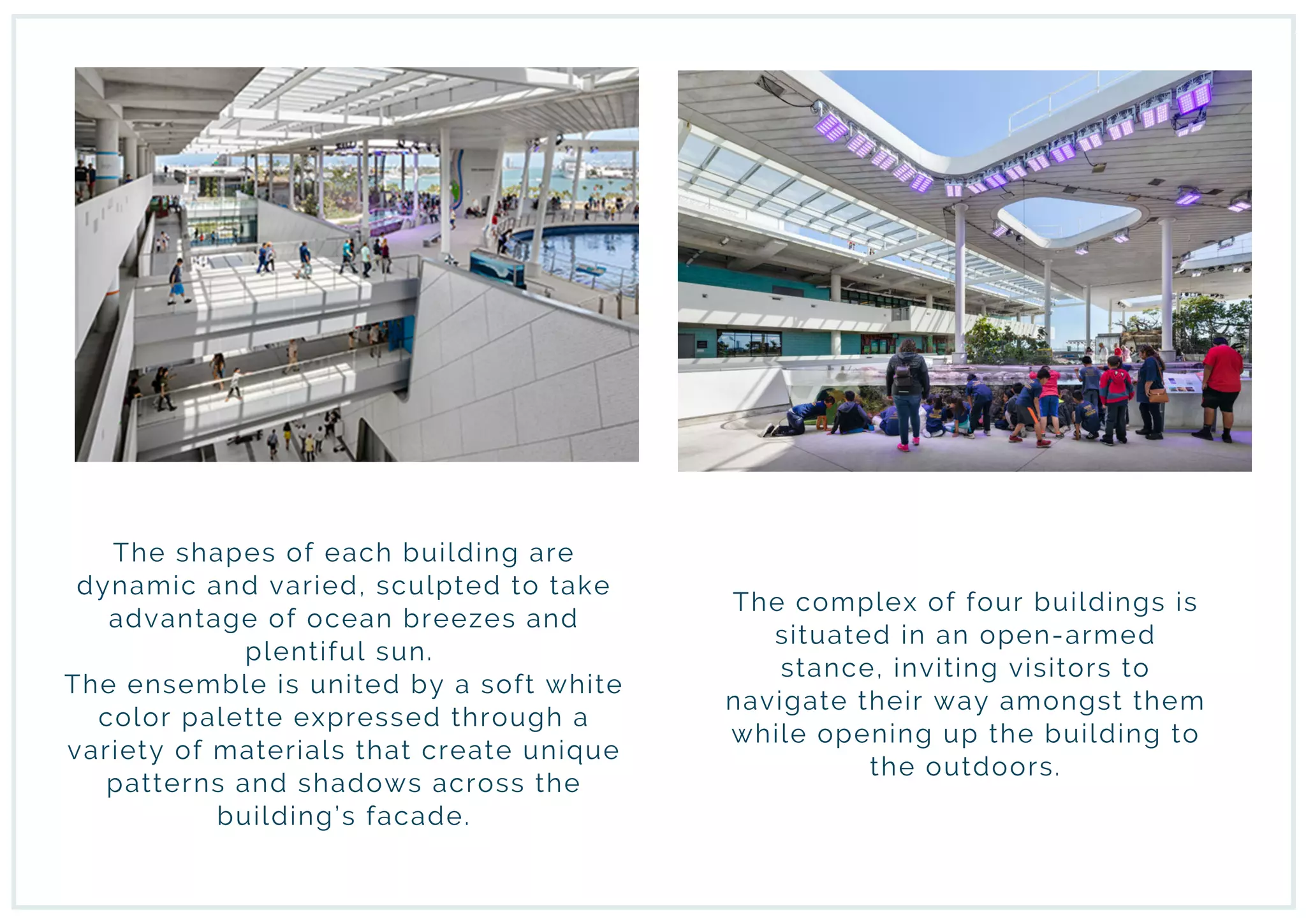 Case Studies Aquarium.pdf