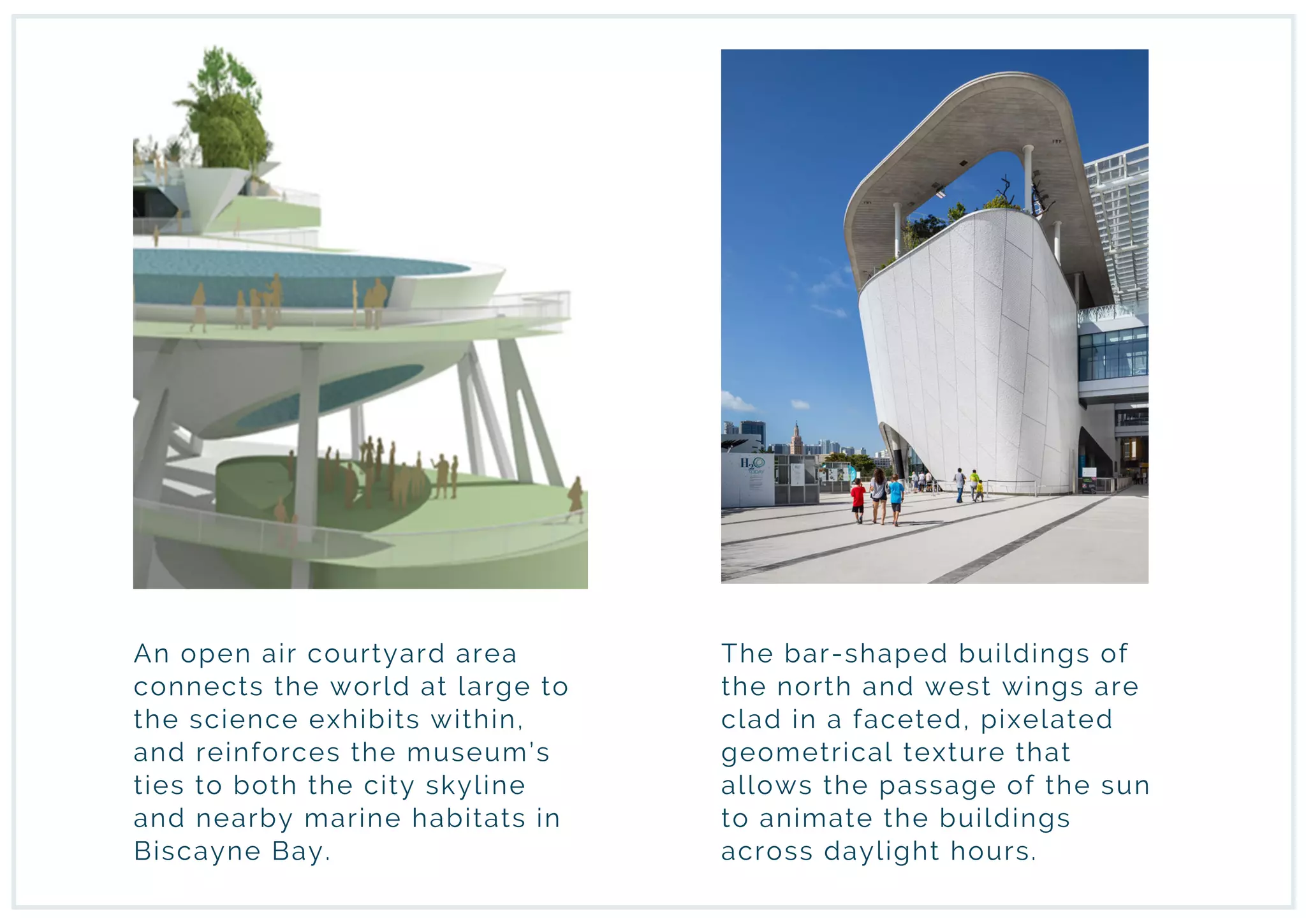 Case Studies Aquarium.pdf