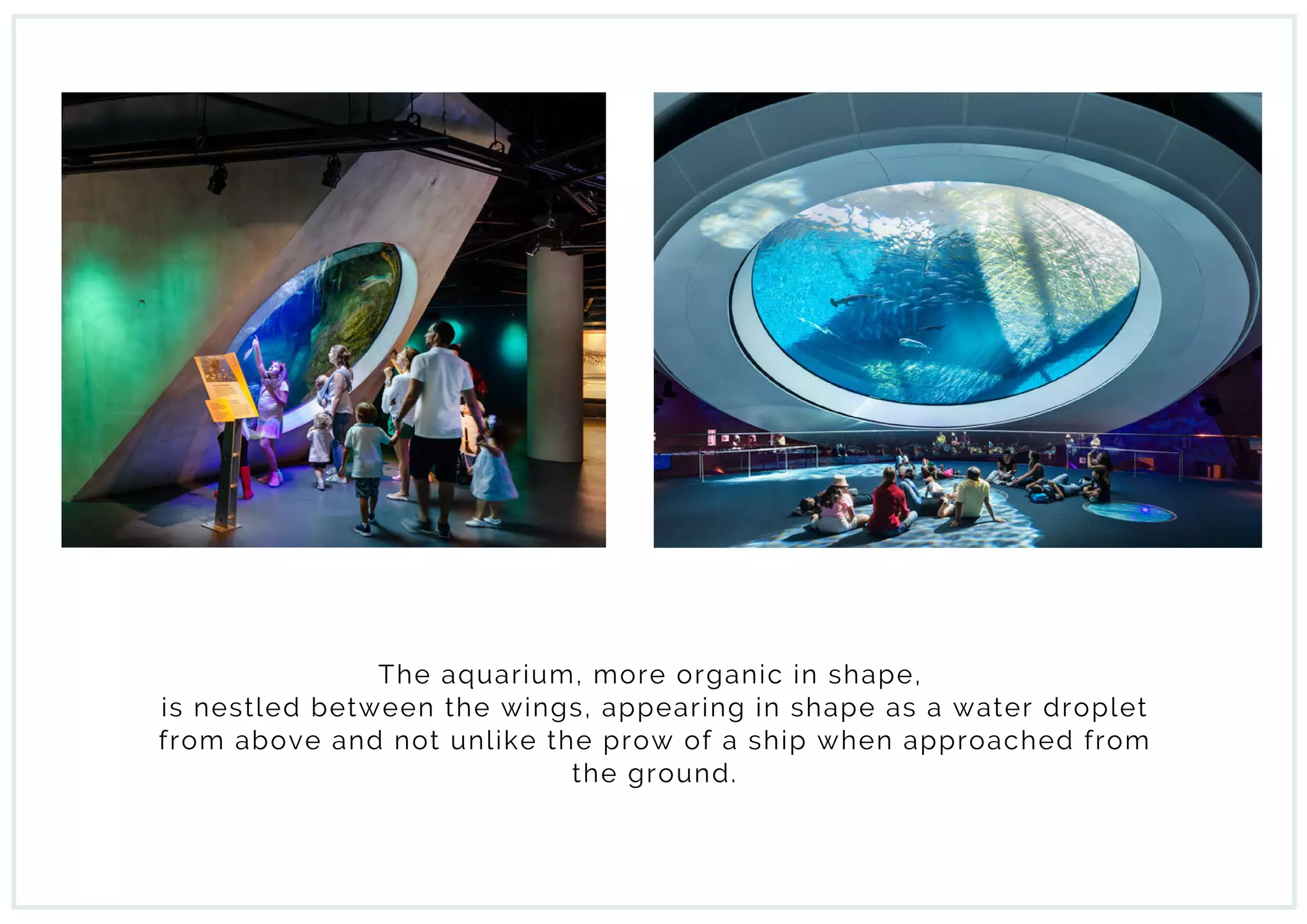 Case Studies Aquarium.pdf